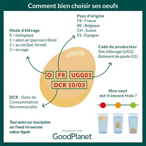 Comment Bien Choisir Ses Oeufs Goodplanet Mag