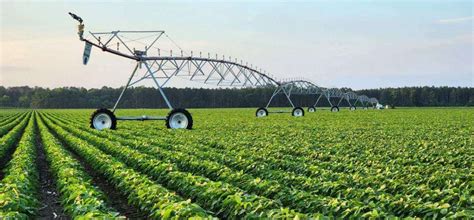 New Soybean Yield Record Set At 206 Bushels