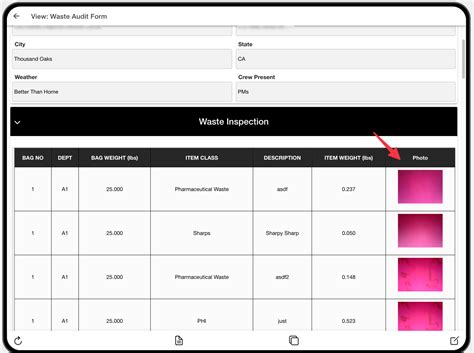 Photos In Table Rows XForms Mobile