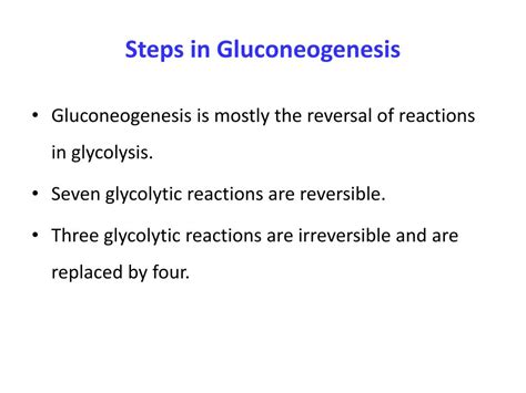 Ppt Gluconeogenesis Powerpoint Presentation Free Download Id 1904140