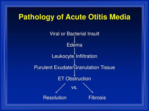 Ppt Otitis Media And Eustachian Tube Dysfunction Powerpoint