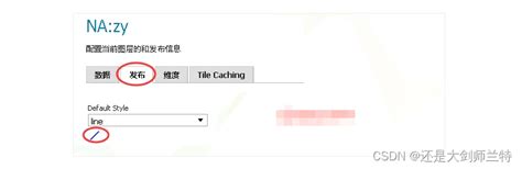 geoserver发布postgis不能预览解决办法 geoserver openlayers预览不了 csdn博客