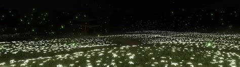 Massive Loop