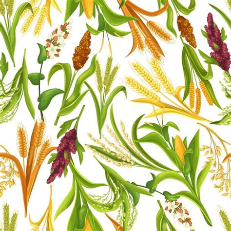 Grasses Cereal Crops Plant Heap Grains Seeds Stock Vector Image By