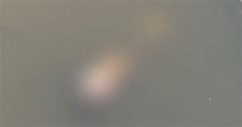 Corpo sinais de tortura é encontrado em igarapé Plantão 24Horas News
