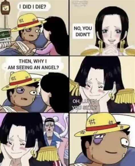 Swans Never Die And Never Say Goodbye 9gag