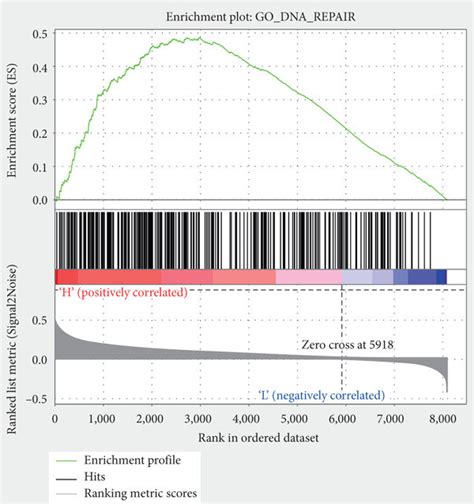 GSEA Of RBBP4 A Positive Regulation Of DNA Replication With P 0 008