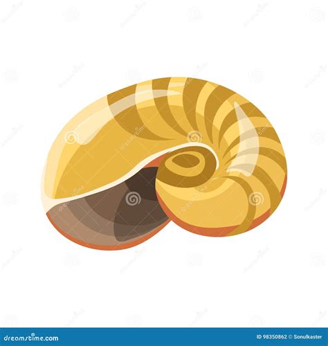 Shell Or Seashell Sea Mollusk Vector Isolated Flat Icon Stock Vector