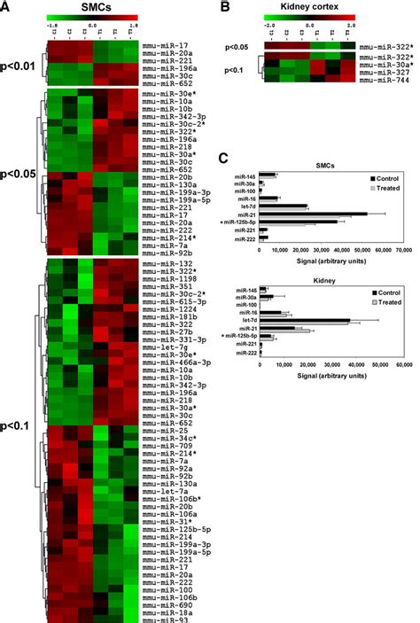 microrna mirna microarray expression analysis in smooth muscle cells
