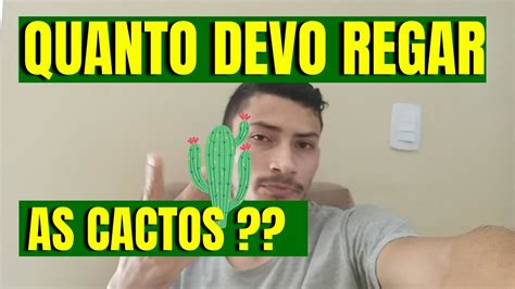 Quantas Vezes Por Semana Devo Molhar Cactos Youtube
