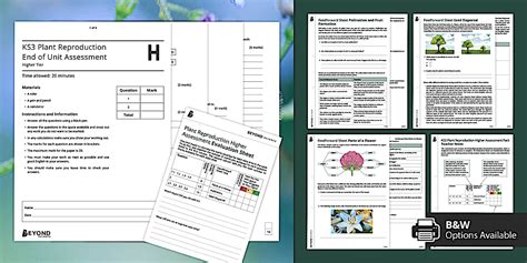 Plant Reproduction Assessment Higher Ks3 Biology Beyond