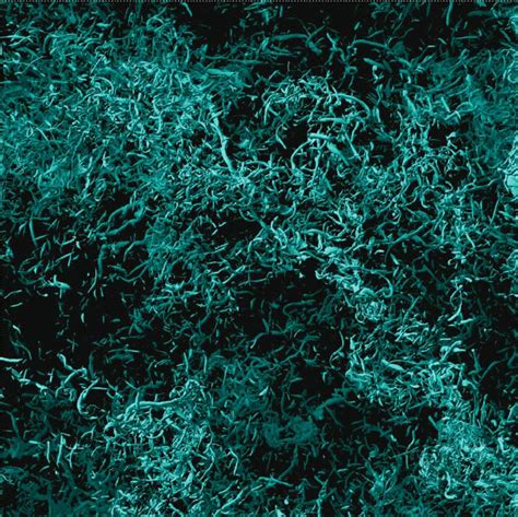 6 Direct Numerical Simulation Of Incompressible Isotropic Turbulence