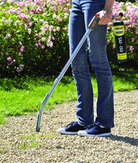 Mauvaises Herbes Dans Les Graviers Les Solutions Pour Les Tuer