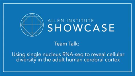 Using Single Nucleus RNA Seq To Reveal Cellular Diversity RNA Seq Blog