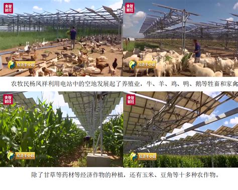 央视点赞正泰新能源光伏治沙案例 王捧生 太阳能发电网 太阳能发电网