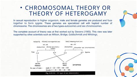 Botany Theories Of Sex Determinationpptx