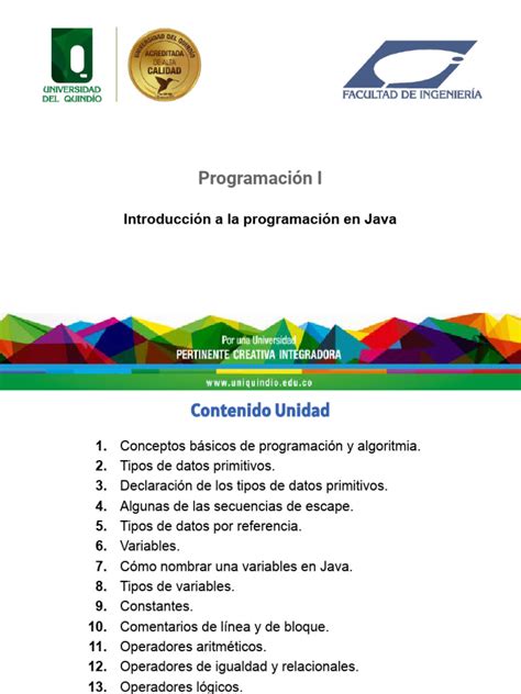 Introducción A La Programación En Java Pdf Algoritmos Tipo De Datos