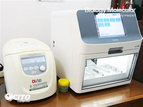 Biology Molecular Cimercel