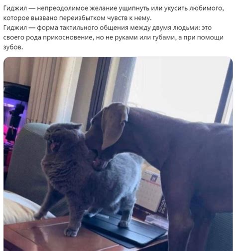 Вот они что Пикабу