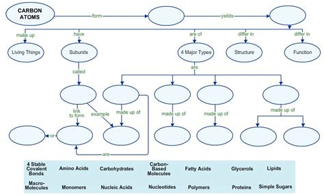Biological Macromolecules Concept Map Answers At Minh Boser Blog