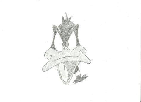 Daffy Duck Sketch At Paintingvalley Com Explore Collection Of Daffy