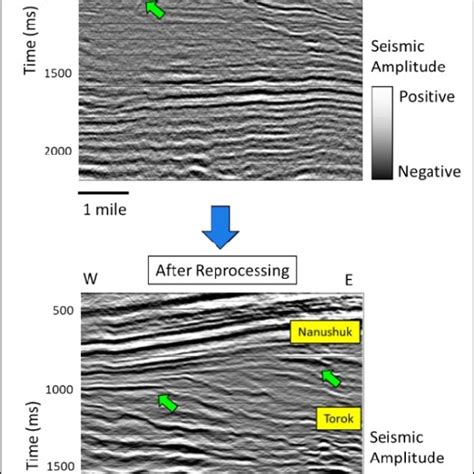 The Results Of Seismic Data Reprocessing At The Shallow Intervals Download Scientific Diagram