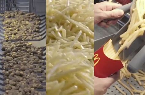 This Video Will Show You How Mcdonalds French Fries Are Made And Why