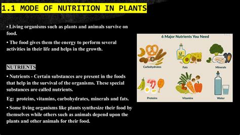 PPT FOR CBSE CLASS SCINCE SUBJECT UNIT CBSE CLASS UNIT SCIENCE PDF