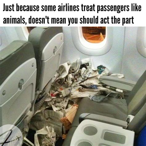 Cattle Class Is An A Fly Guys Cabin Crew Lounge