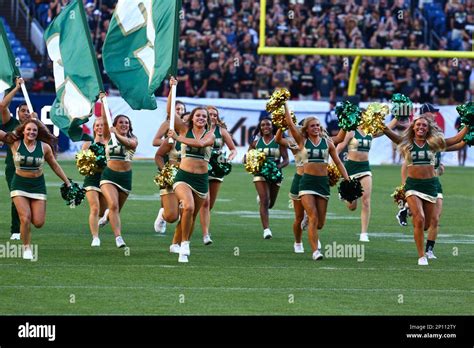 Colorado State Cheerleaders Run Onto The Field Carrying The School
