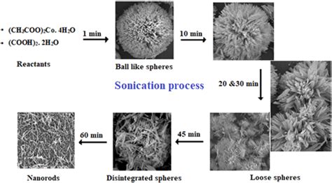 Schematics Representing Variation In The Nanostructure Morphology Of Download Scientific