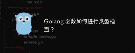 golang 函数如何进行类型检查？ 米云