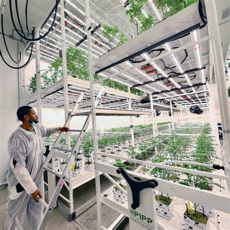 Elevate™ Platform System Portable Access Pipp Horticulture