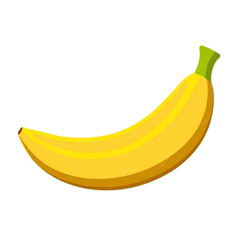 Premium Vector Frout