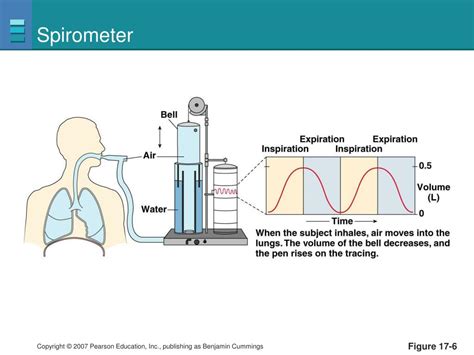 Ppt Respiratory System Powerpoint Presentation Free Download Id