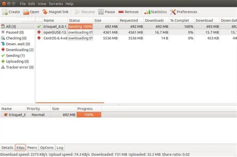 Flush 0 9 12 Review A Lightweight BitTorrent Client