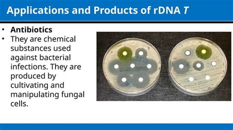 Ppt2 Applications Of Rdna Gen Bio2 Pptx