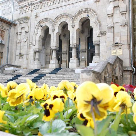Universitatea Dunărea de Jos pe poziții de top în clasamente