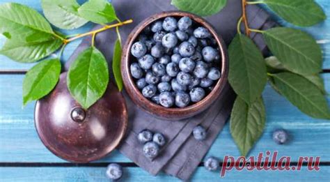 Топ 10 продуктов которые нужно есть чтобы защитить легкие от коронави Образованная Сова