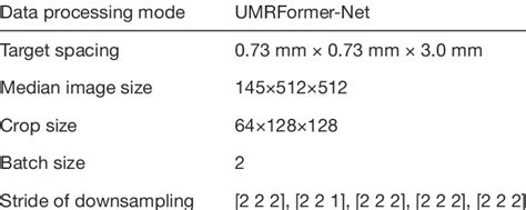 Pre Input Data Preprocessing Configuration According To The