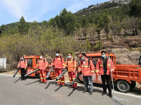 枣庄市市中区孟庄镇四个到位 严抓冬季山林防火 枣庄市 新浪新闻