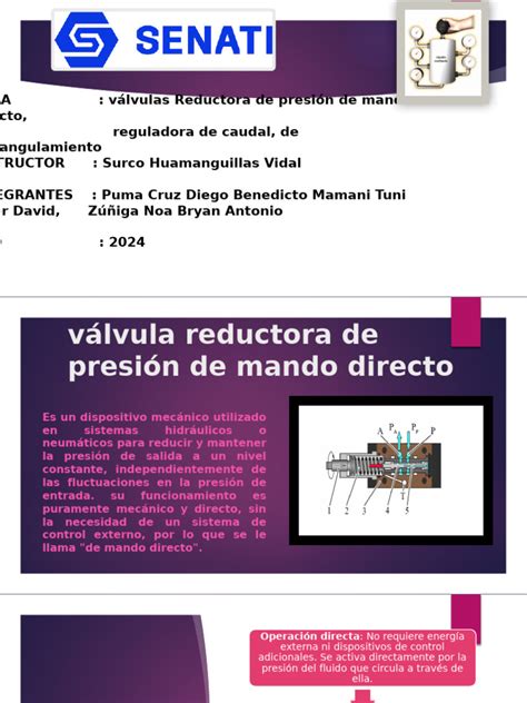 Valvula Reguladora De Caudal 123 Pdf