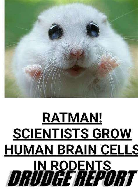 “bio Hacking Humans Implanting Chips In Hands And Heads” Catholic