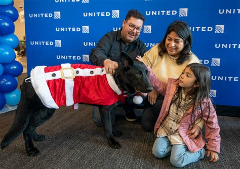La historia de Polaris el perro abandonado tras un vuelo internacional que encontró un nuevo