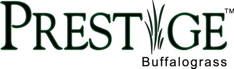 Prestige Buffalograss Todd Valley Farms