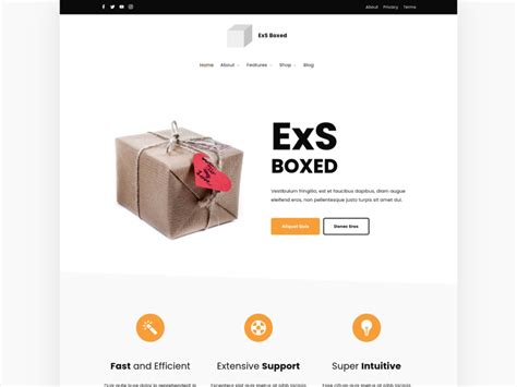Exs Boxed Fastest Wordpress Theme Demo