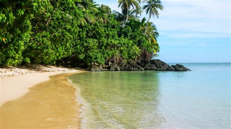Planifiez Votre Voyage à Taveuni Aux Fidji Tourlane