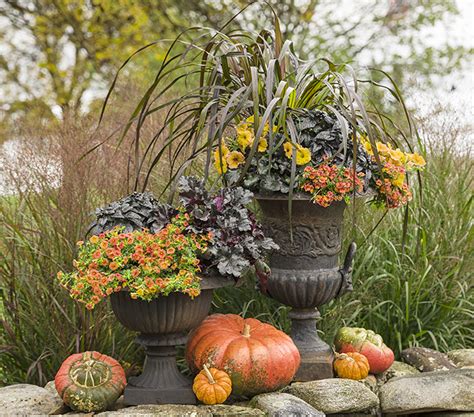 Container Gardens For Autumn Creative Ideas For Transitioning Your