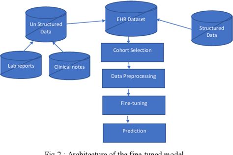 figure 2 from predicting chronic diseases using clinical notes and fine tuned transformers