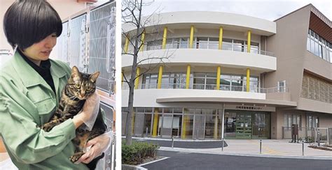 【9月23日】中原区・アニマモールかわさきで「動物愛護フェア」聴導犬の存在を知ってますか？ 神奈川・東京多摩のご近所情報 レアリア